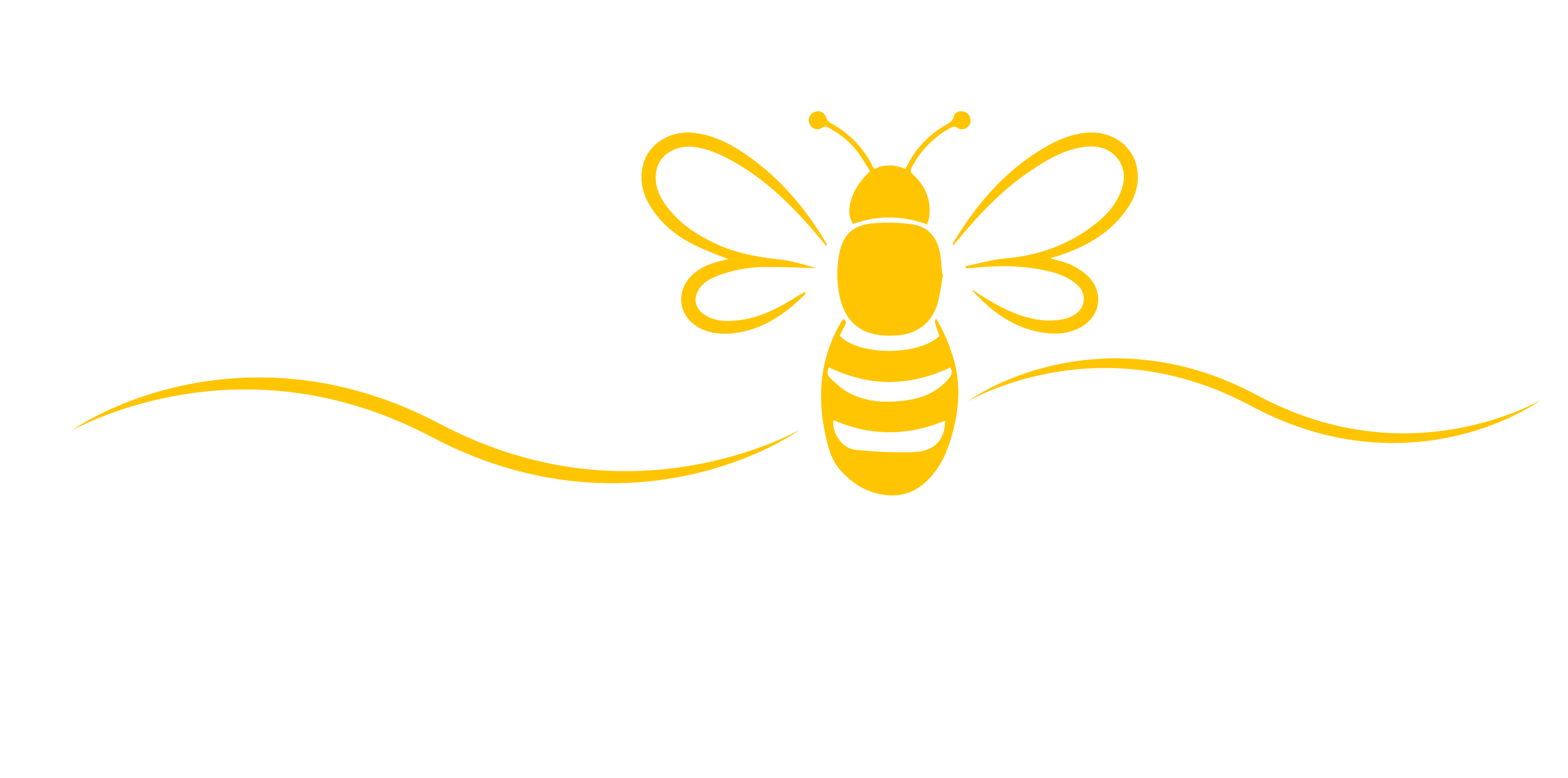 Bee Logo Png